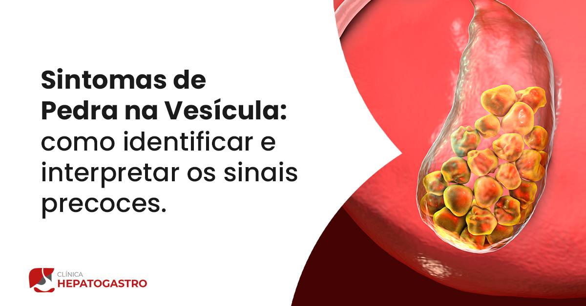 Definicao De Vesiculas